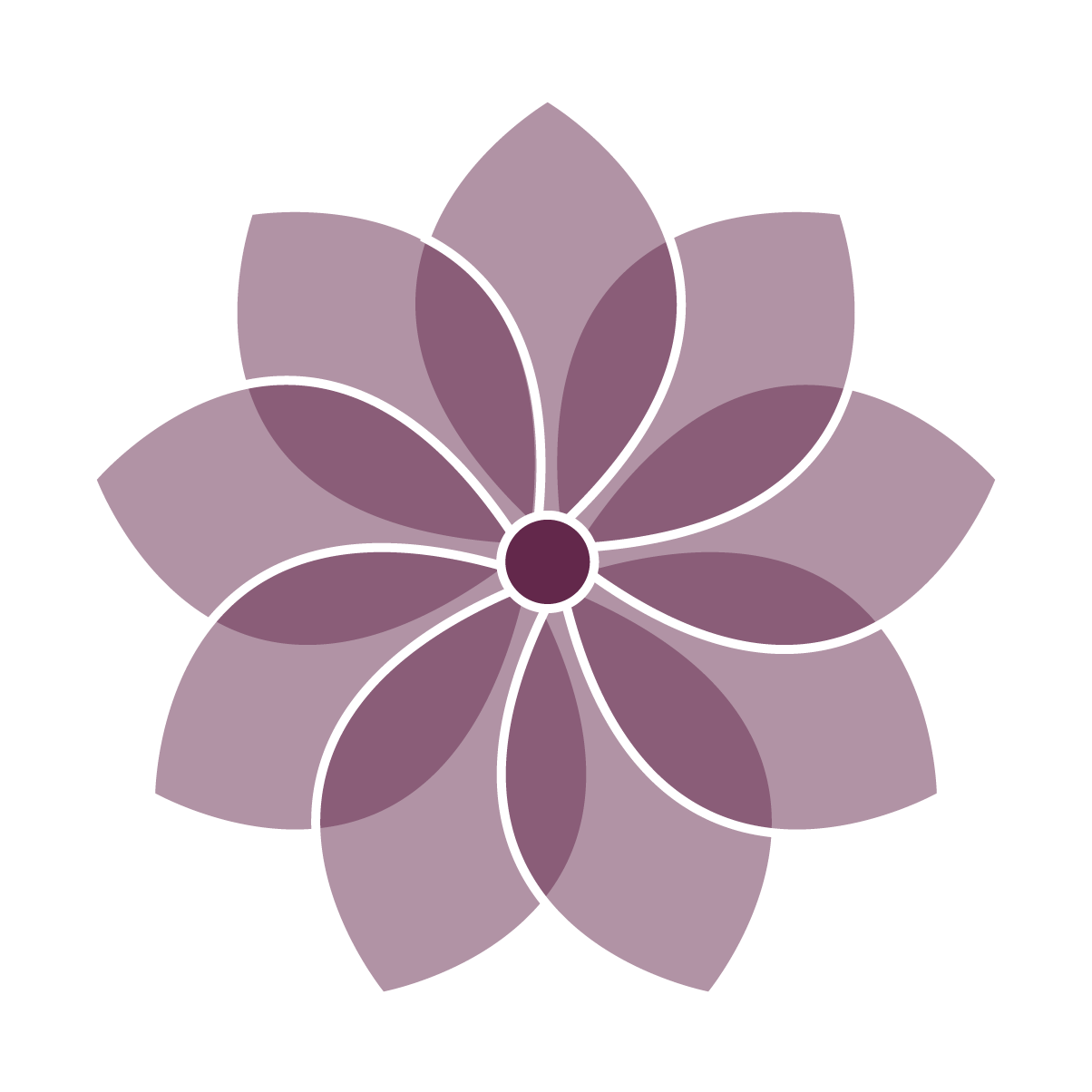 Why does Image Optimization matter? - Bloom Digital Marketing